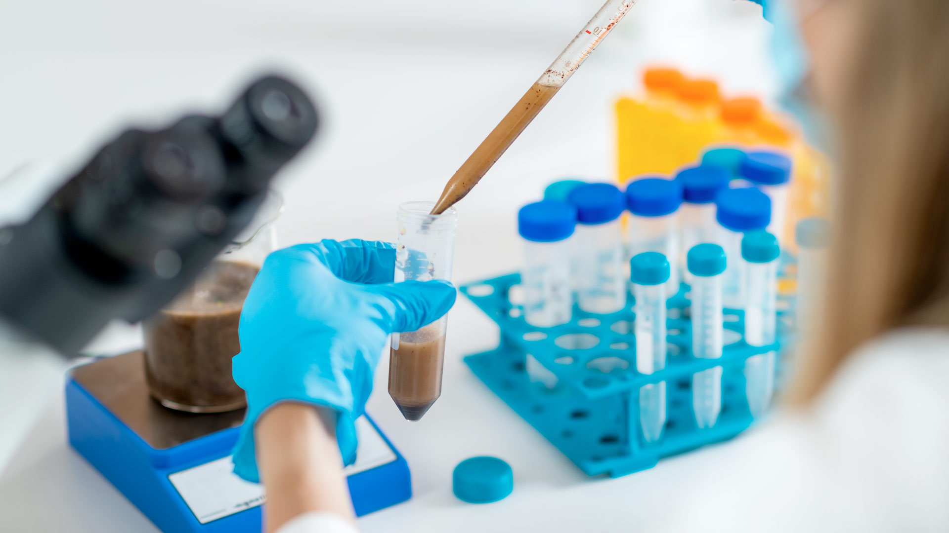 Transplante de Fezes: Uma Abordagem Inovadora na Gastroenterologia - Gastroen